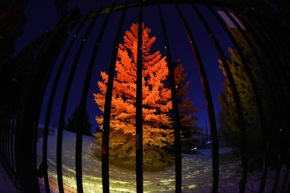 Home Automation Systems - 4 Landscape Lighting Automation Benefits